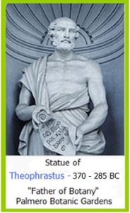 Australian Native Plants Glossary Introduction – The Bible of Botany